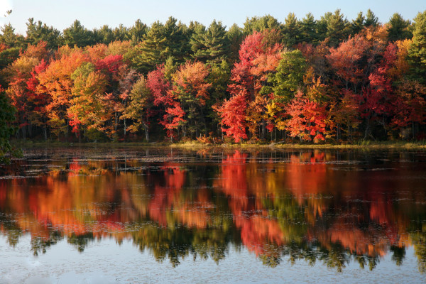 Tips for Shooting Fall Foliage and Autumn Scenes – Tony & Chelsea Northrup